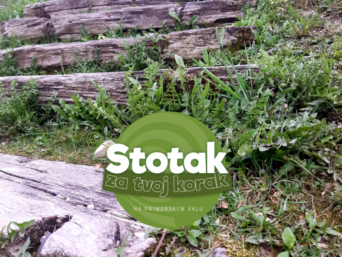 Na Primorski val prihaja Stotak za tvoj korak! - Primorski val - Radio ...
