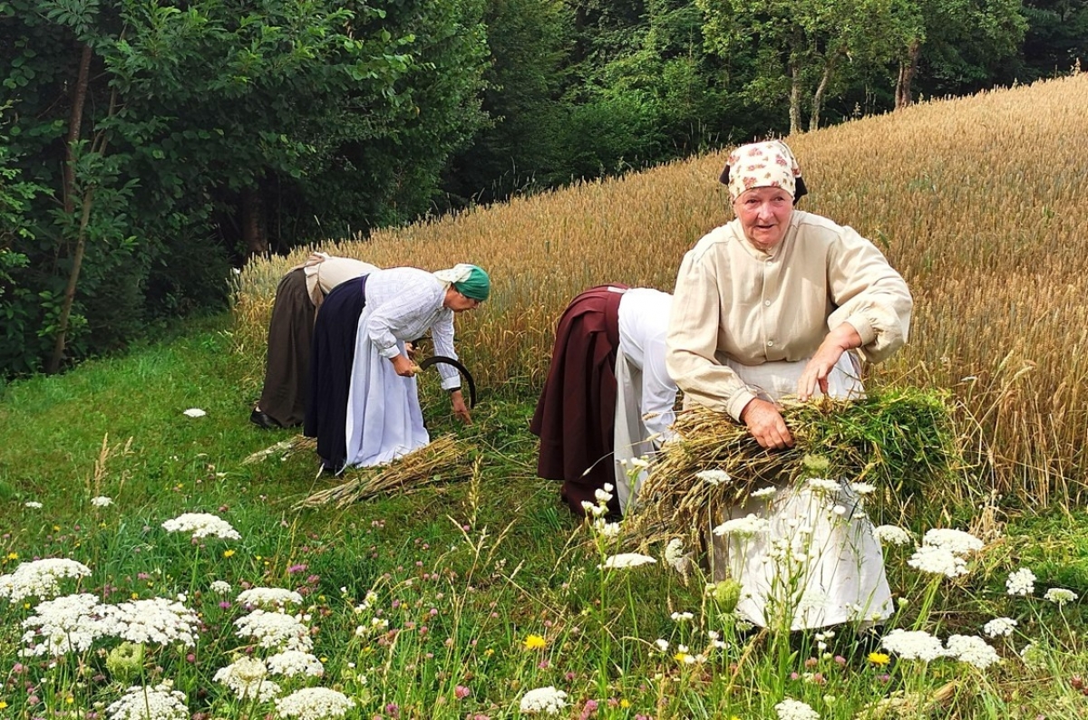 Praznik žetve na Žirovskem Vrhu - Primorski val - Radio Odmev in Alpski val