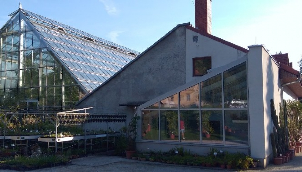 V BOTANIČNEM VRTU IZDELKI DRIKLCA - Primorski val - Radio Odmev in ...