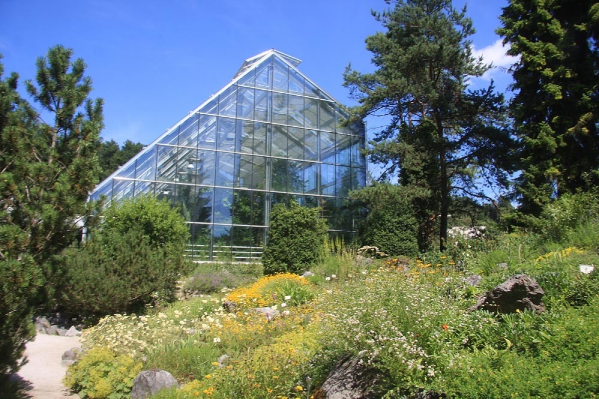 RASTLINE BOTANIČNEGA VRTA SE ŽE ČRTRTIČ VRAČAJO IZ 'IZGNANSTVA ...