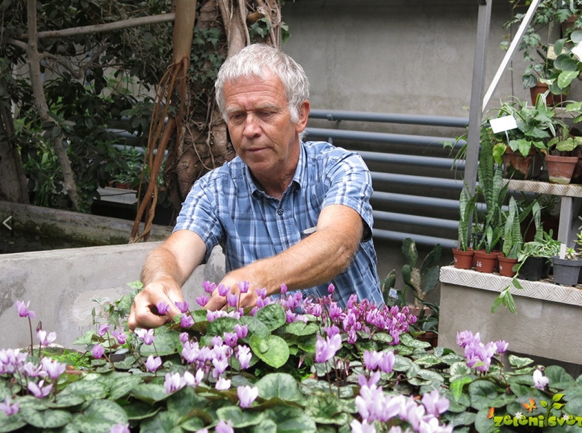 DELAVCI BOTANIČNEGA VRTA PONOVNO REŠUJEJO RASTLINE - Primorski val ...